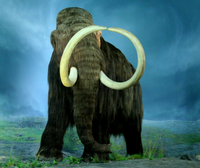 List of State Fossils - FossilEra.com