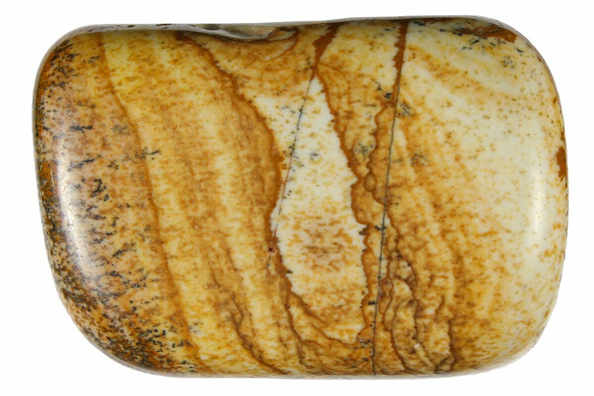Large, Tumbled Picture Jasper For Sale - FossilEra.com