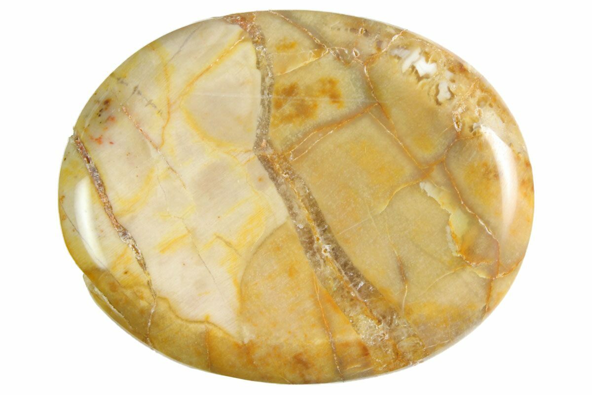Polished Petrified Wood Worry Stones For Sale - FossilEra.com