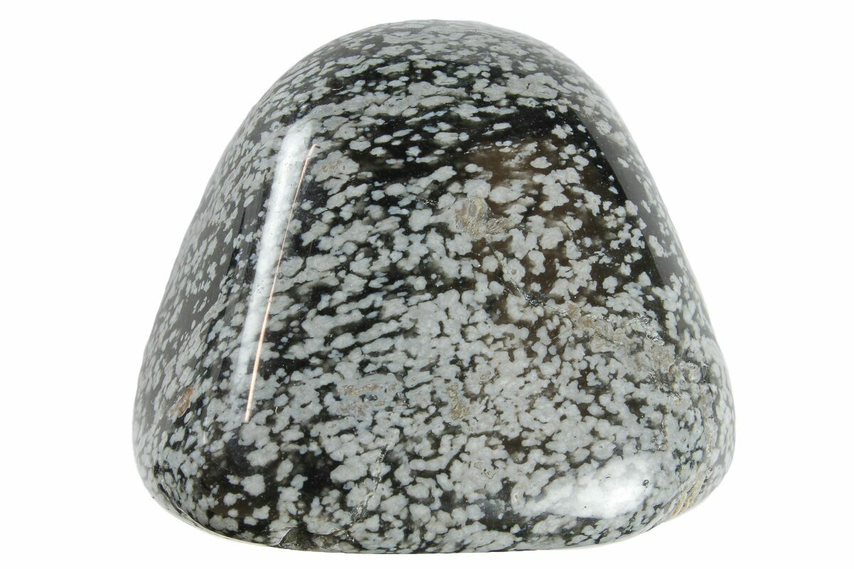 Large Tumbled Snowflake Obsidian - 1 1/2" Size For Sale - FossilEra.com