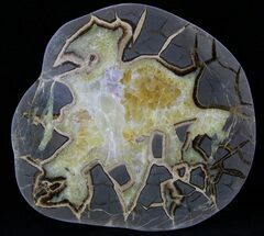 Septarian For Sale - FossilEra.com