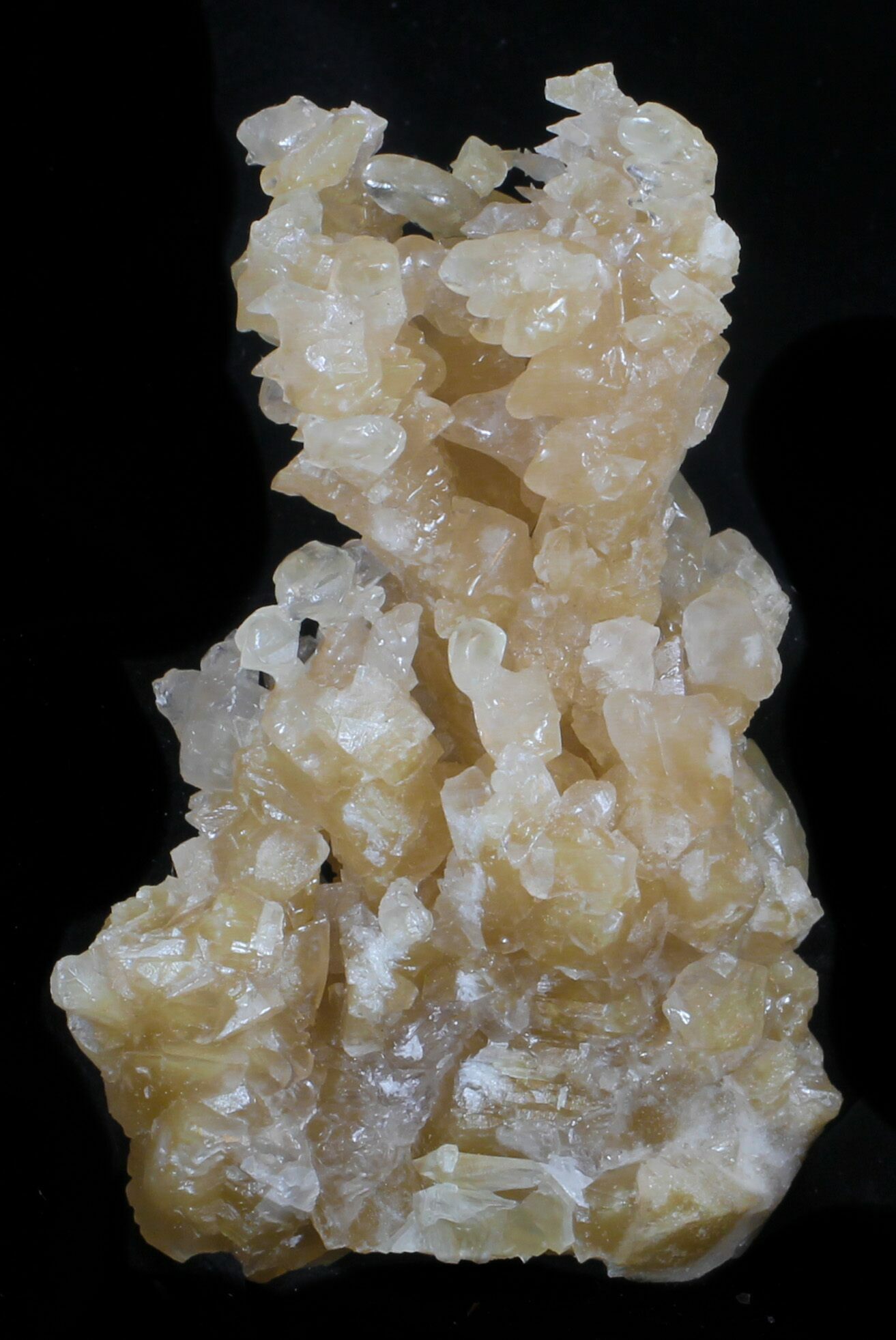 Bargain 4.3" Caramel Calcite Cluster - Mexico (#33742) For Sale ...