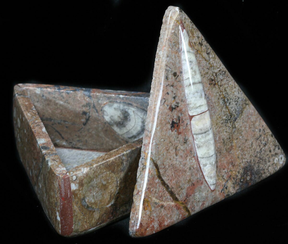 Fossil Orthoceras Box (Triangle) - Stoneware (#35270) For Sale ...