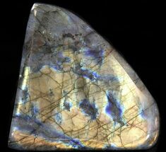 Polished Labradorite For Sale - FossilEra.com