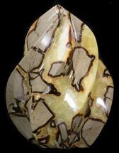 Septarian For Sale - FossilEra.com