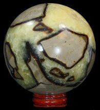 Septarian For Sale - FossilEra.com