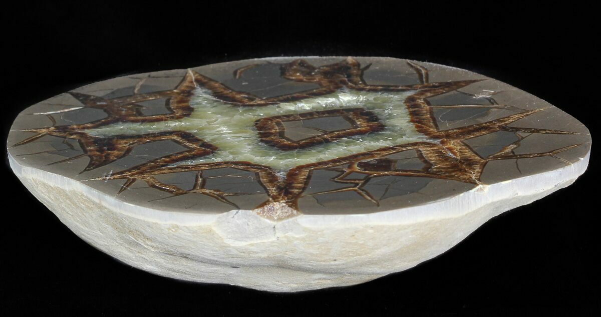 5" Beautiful Septarian Nodule Polished End-Cut For Sale (#45923 ...
