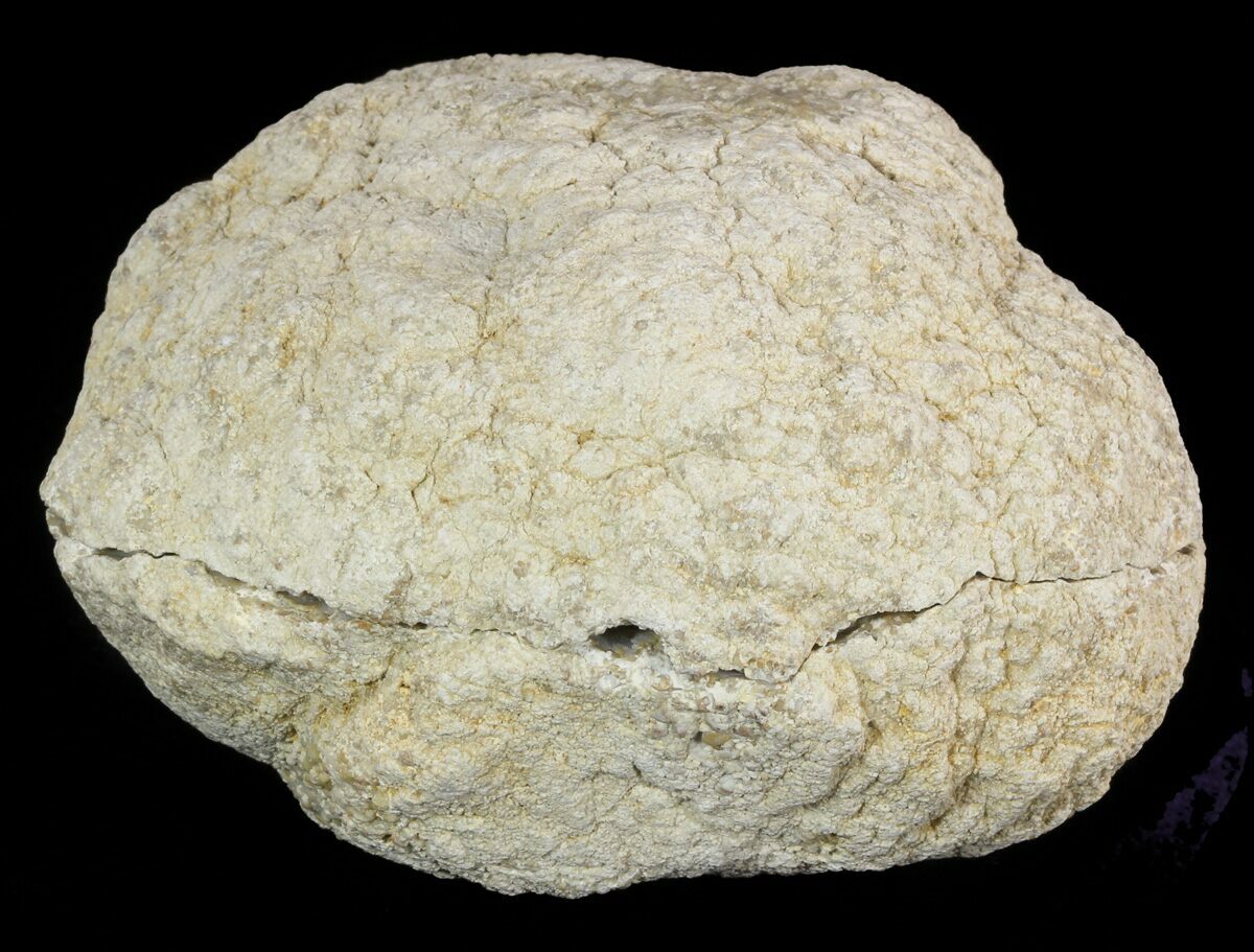 3.9" Keokuk Geode with Quartz - Missouri For Sale (#47115) - FossilEra.com