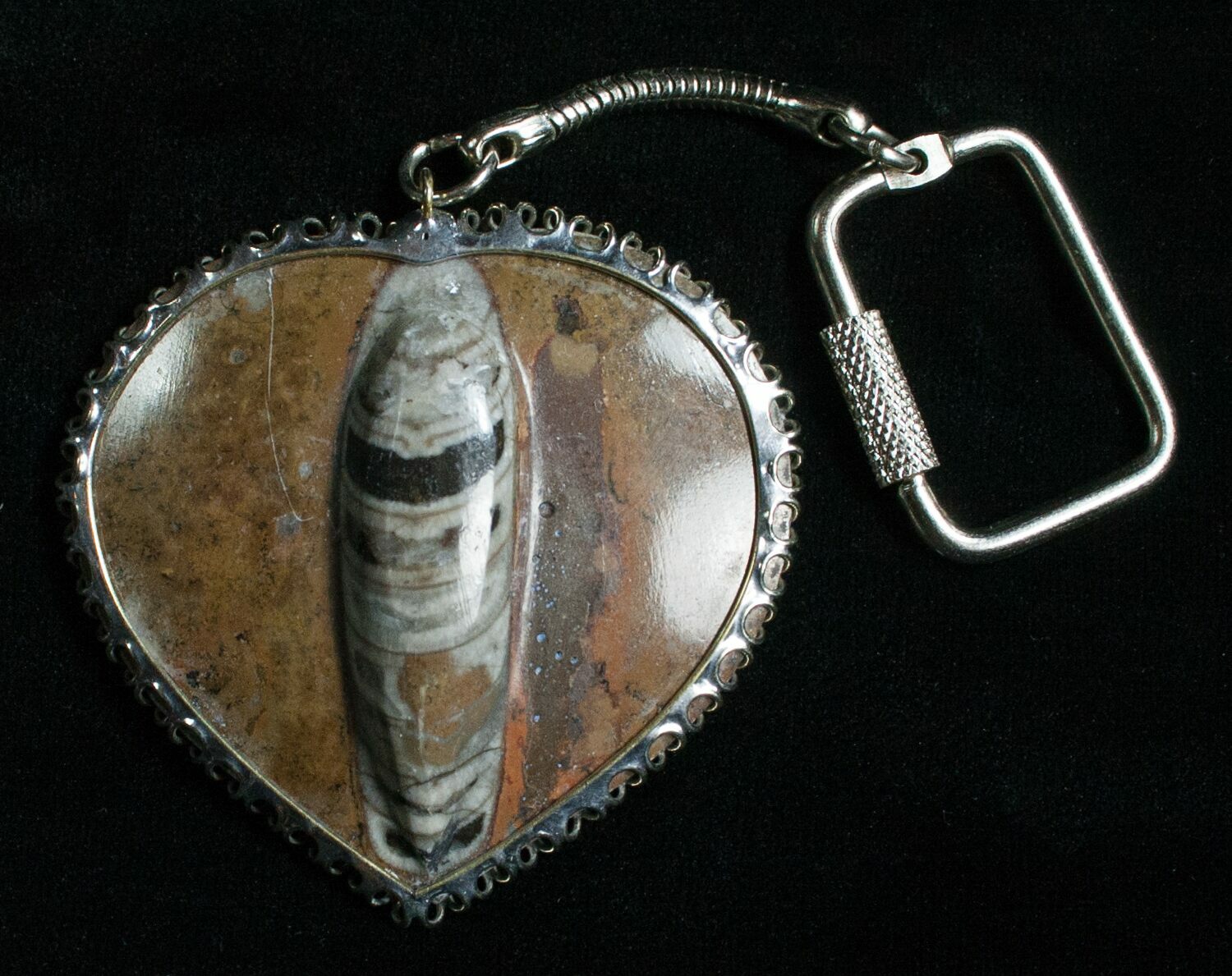 Brown Fossil Orthoceras Heart Keychain (#4790) For Sale - FossilEra.com
