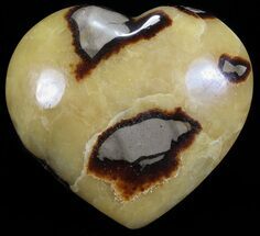 Septarian For Sale - FossilEra.com