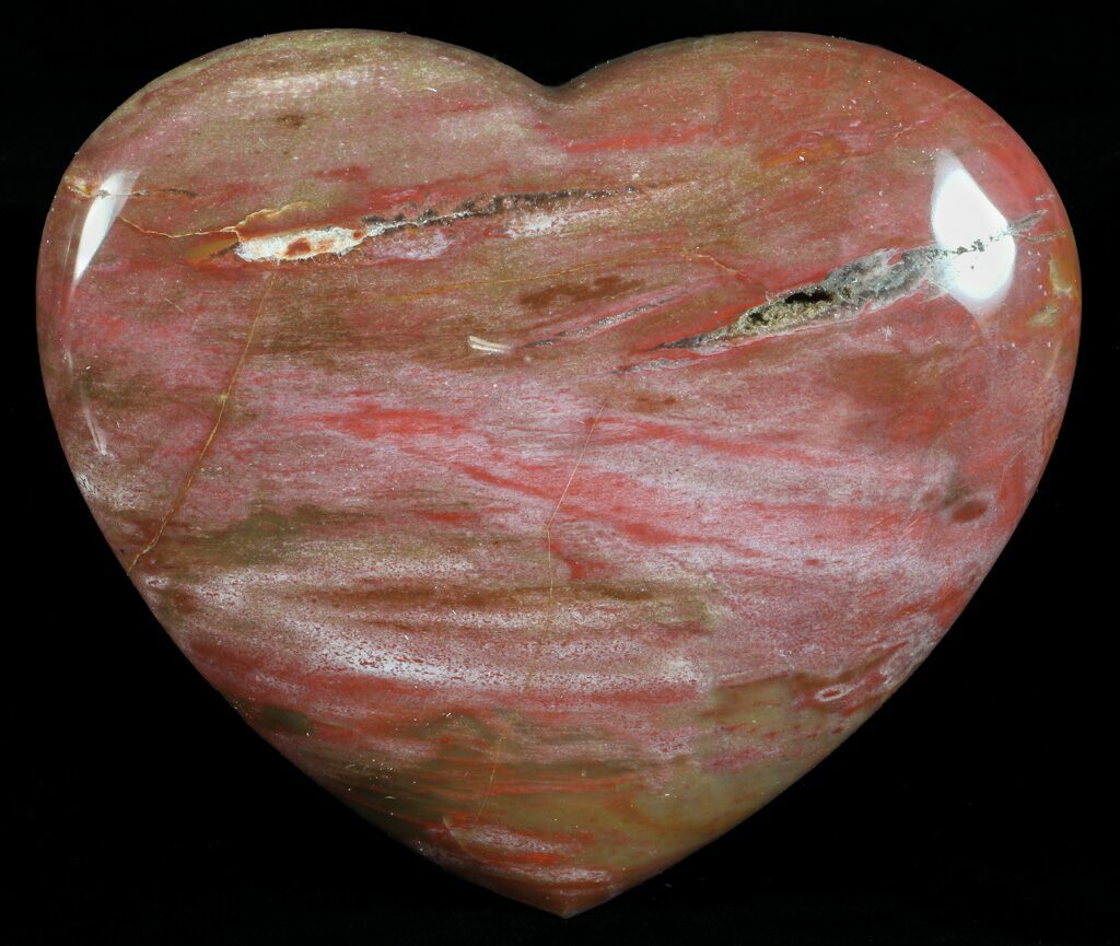4.8" Colorful, Polished Petrified Wood "Heart" - Triassic (#58545) For ...