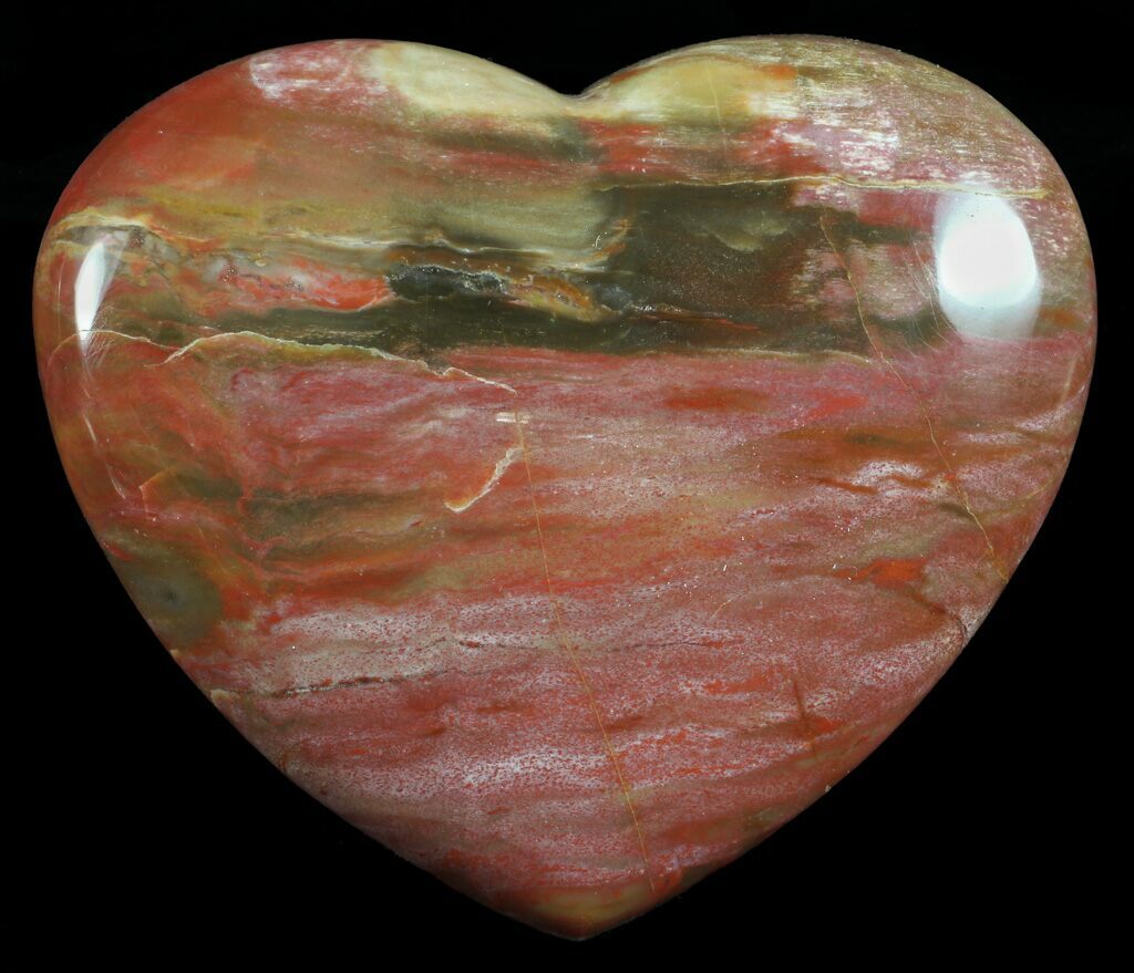 4.8" Colorful, Polished Petrified Wood "Heart" - Triassic (#58545) For ...