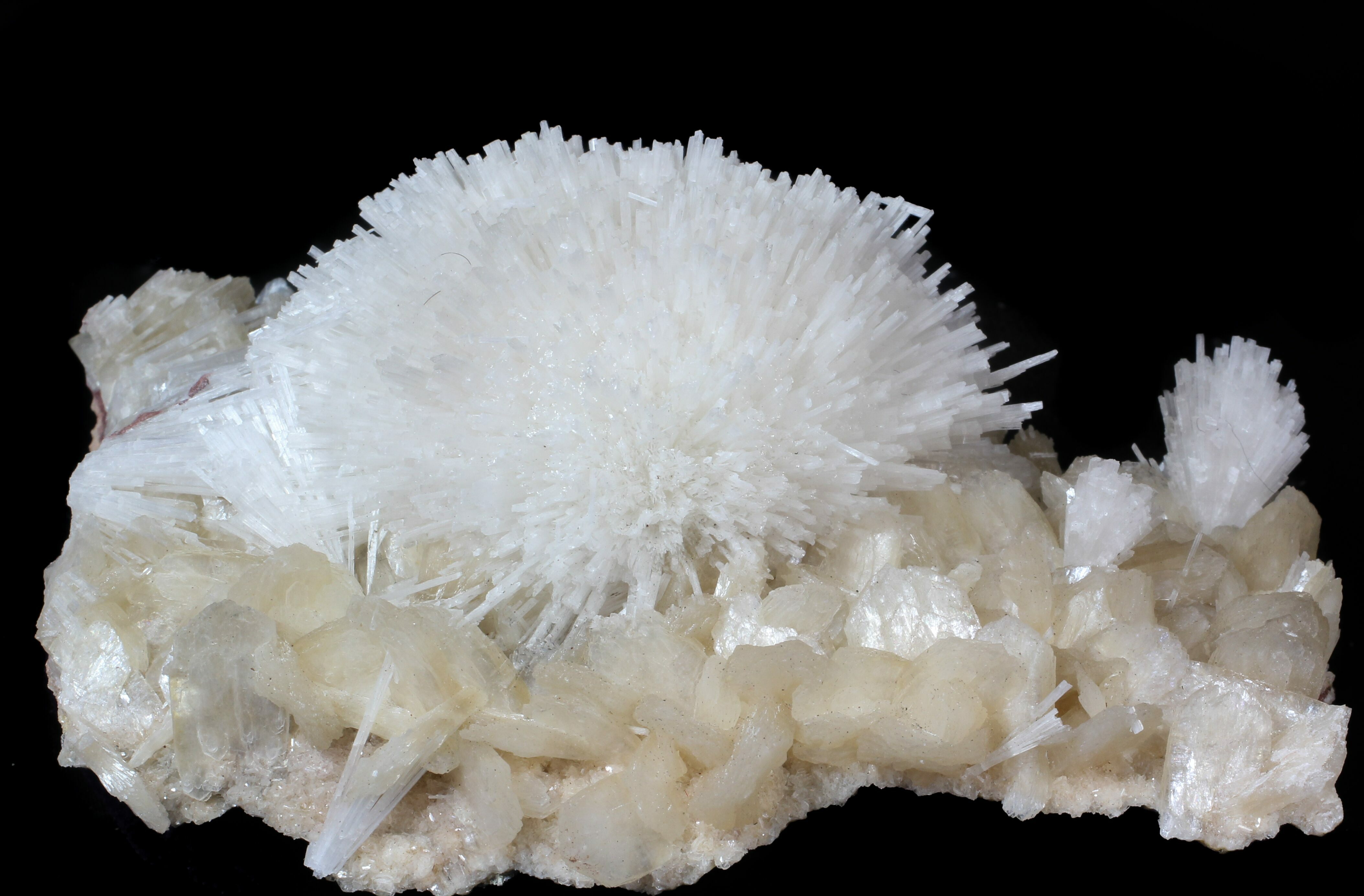 4.8" Scolecite (Zeolite) Sprays on Stilbite - Maharashtra, India For ...
