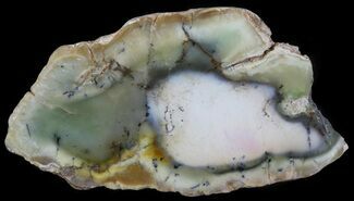 Pyrolusite Spray In Quartz Geode - Exceptional Specimen For Sale ...