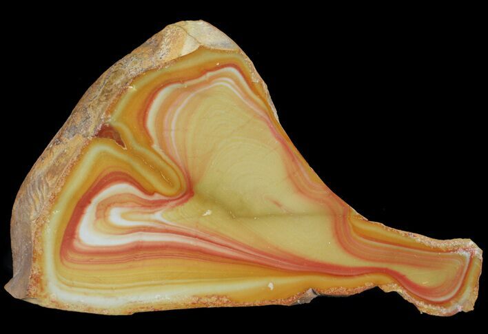 5" Polished Wonderstone Slab - Nevada (#71527) For Sale - FossilEra.com