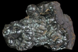 2.2" Kidney Ore (Botryoidal Hematite) - Morocco For Sale (#34138 ...
