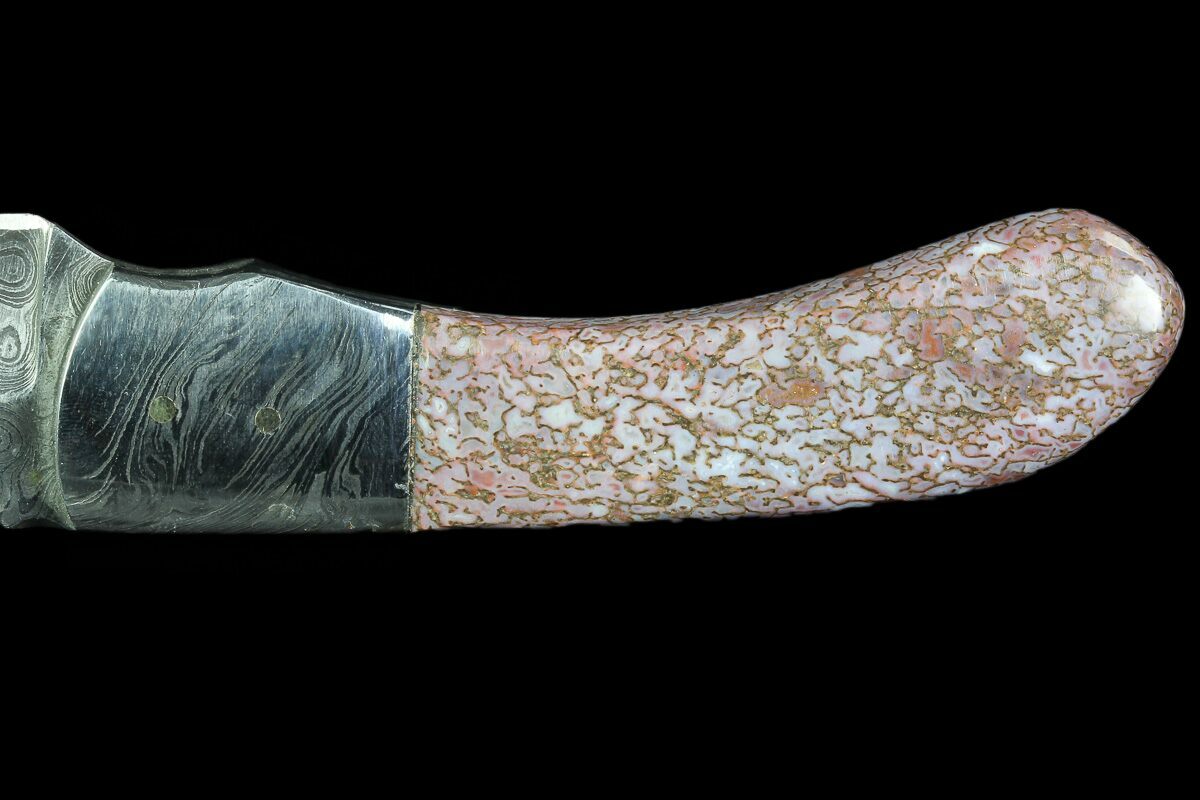 8.7" Damascus Knife With Fossil Dinosaur Bone (Gembone) Inlays (#86542 ...