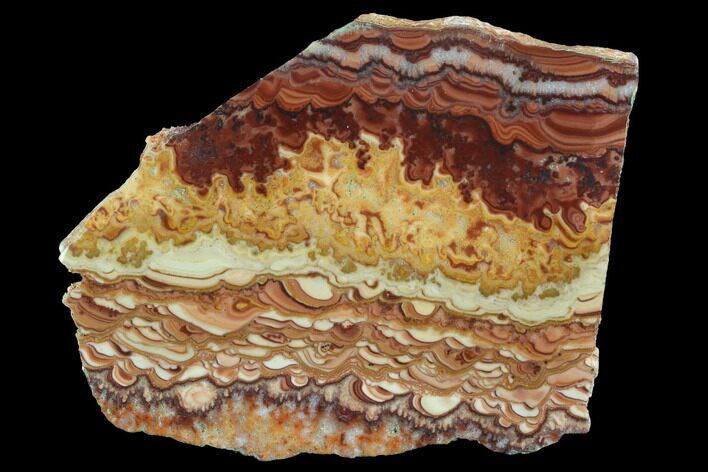 4.7" Polished Slab Of Rolling Hills Dolomite - Mexico (#93615) For Sale ...