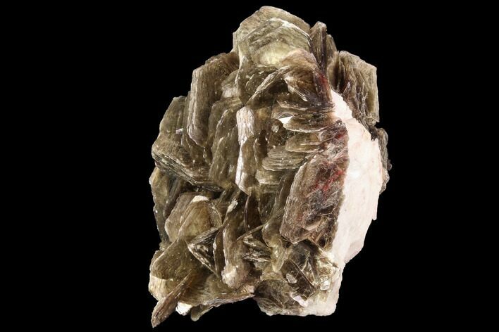 4" Muscovite & White Albite Crystal Association - Brazil (#95576) For ...