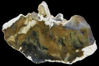 Pyrolusite Spray In Quartz Geode - Exceptional Specimen For Sale ...