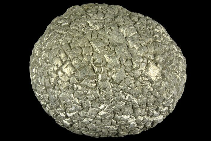 1.45" Natural Pyrite Concretion - China (#104717) For Sale - FossilEra.com