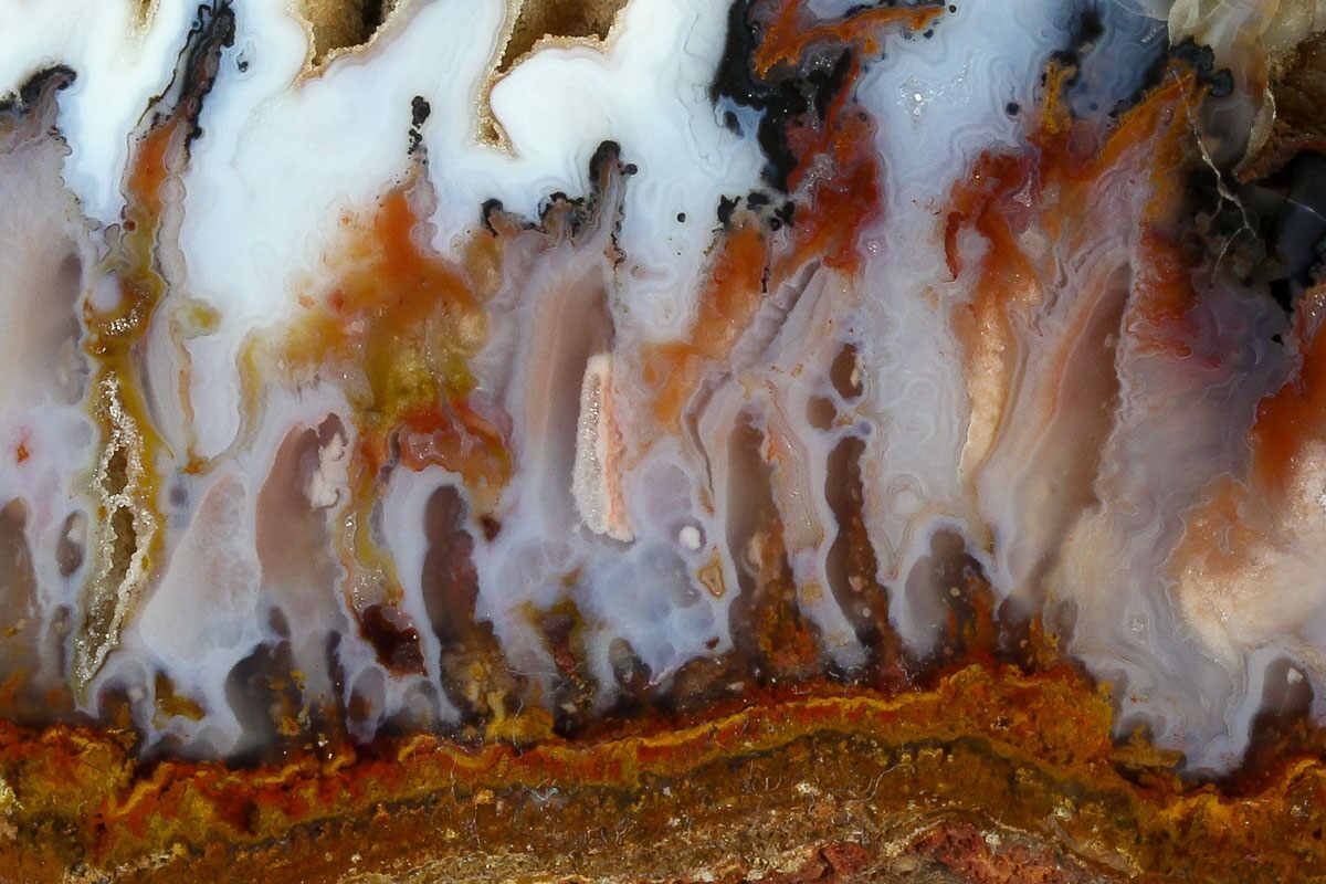 4.4" Bird Of Paradise Agate Section - Chihuahua Mexico (#114910) For ...