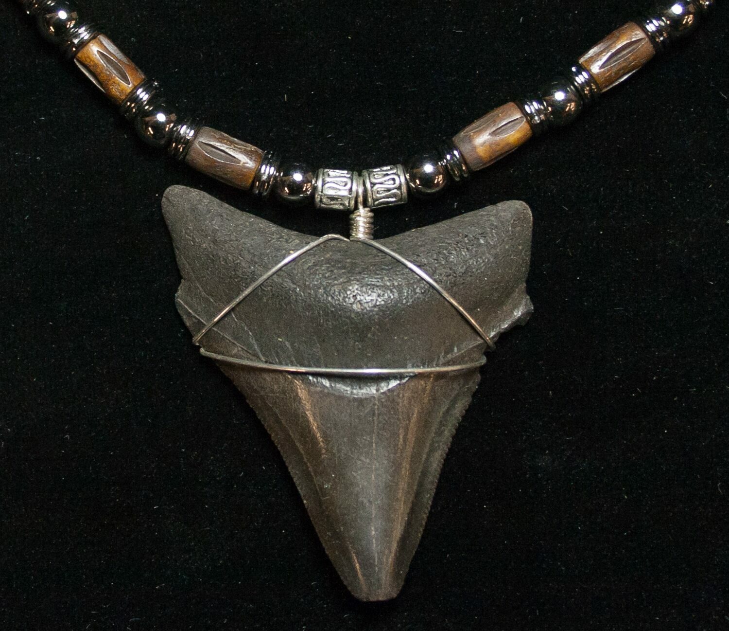 2.2" Megalodon Tooth Necklace For Sale (#8503) - FossilEra.com