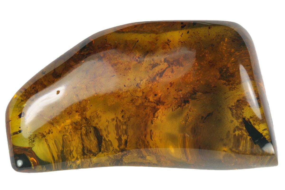 1.7" Polished Chiapas Amber (9 g) - Mexico (#114820) For Sale ...