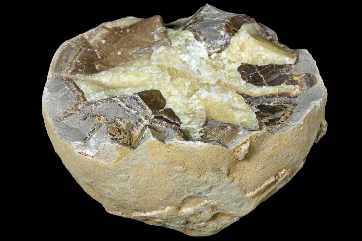 3.8" Yellow Calcite Filled Septarian Nodule Half - Utah For Sale ...