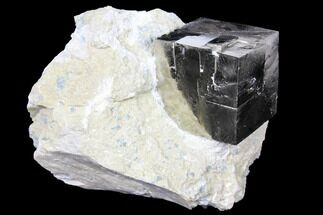 5.5" Museum Quality Pyrite Cube Cluster In Matrix - Spain For Sale ...