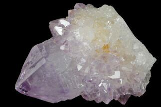 1.18" Cactus Quartz (Amethyst) Crystal - South Africa For Sale (#33755 ...