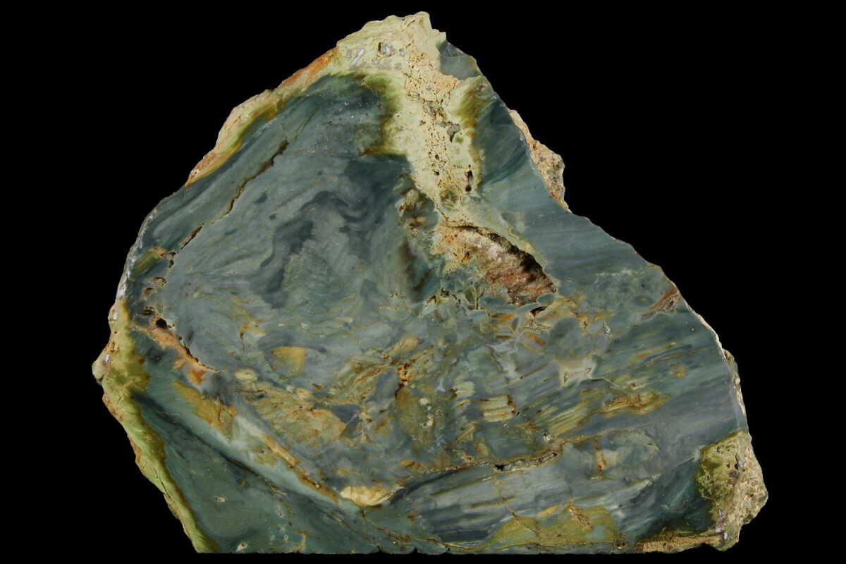 4" Gary Green Jasper (Larsonite) Bog Wood Stand Up - Oregon (#141229 ...