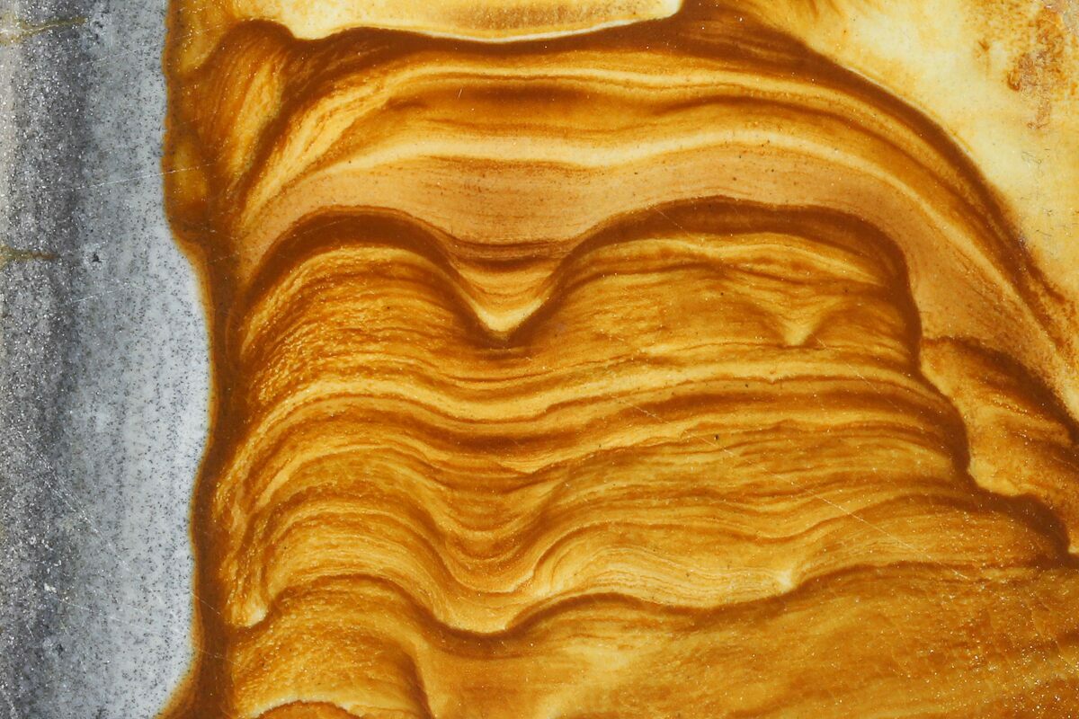 3.4" Polished Golden Picture Jasper Slab - Nevada (#144966) For Sale ...