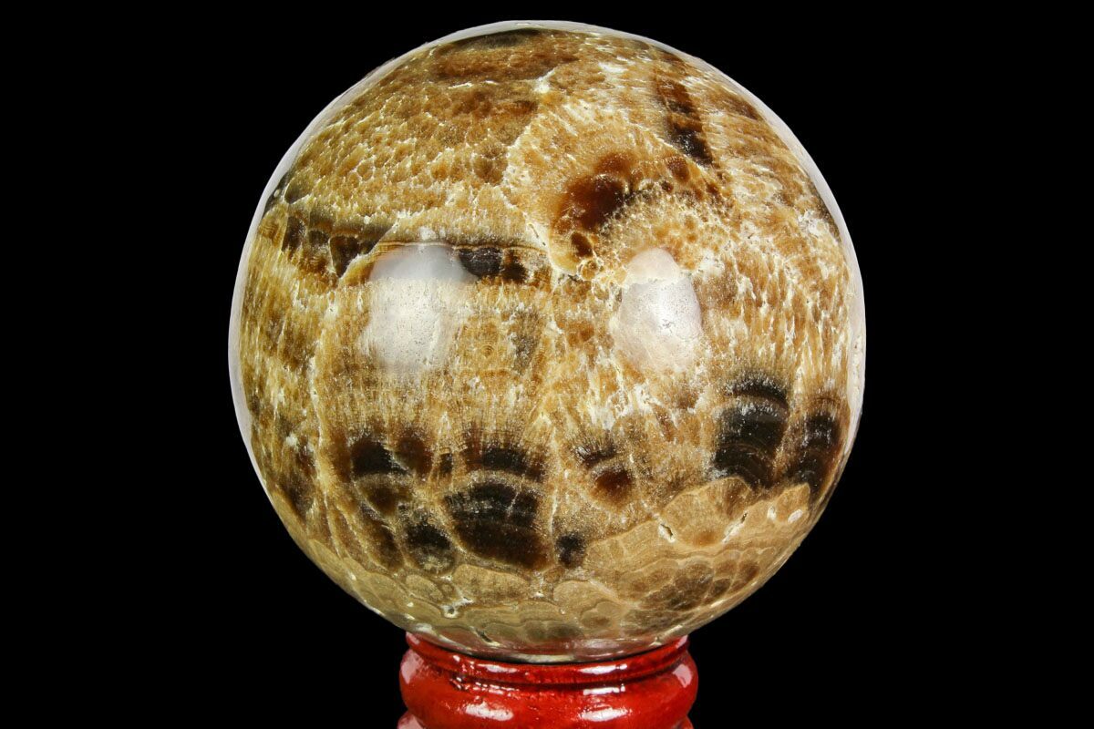 2.35" Polished Chocolate Calcite Sphere - Pakistan (#149517) For Sale ...