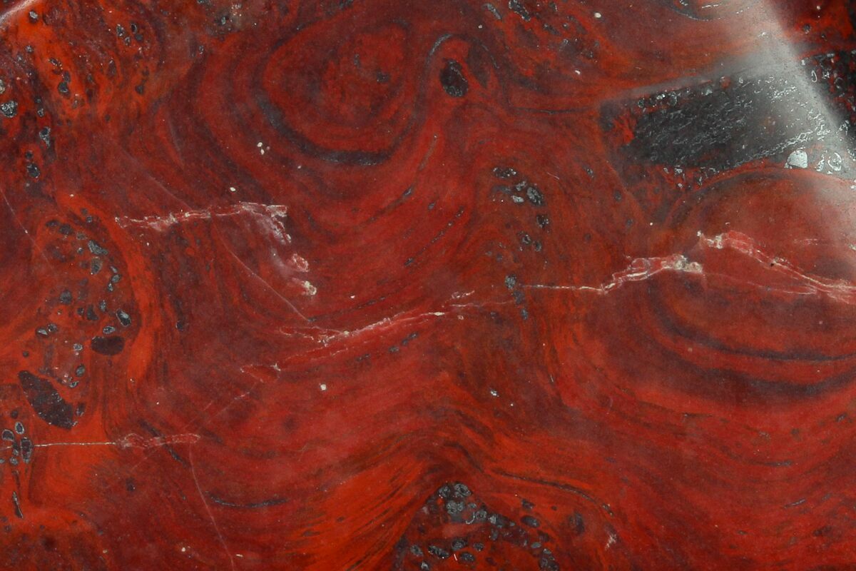 1.9" Polished Stromatolite (Collenia) - Minnesota (#155555) For Sale ...