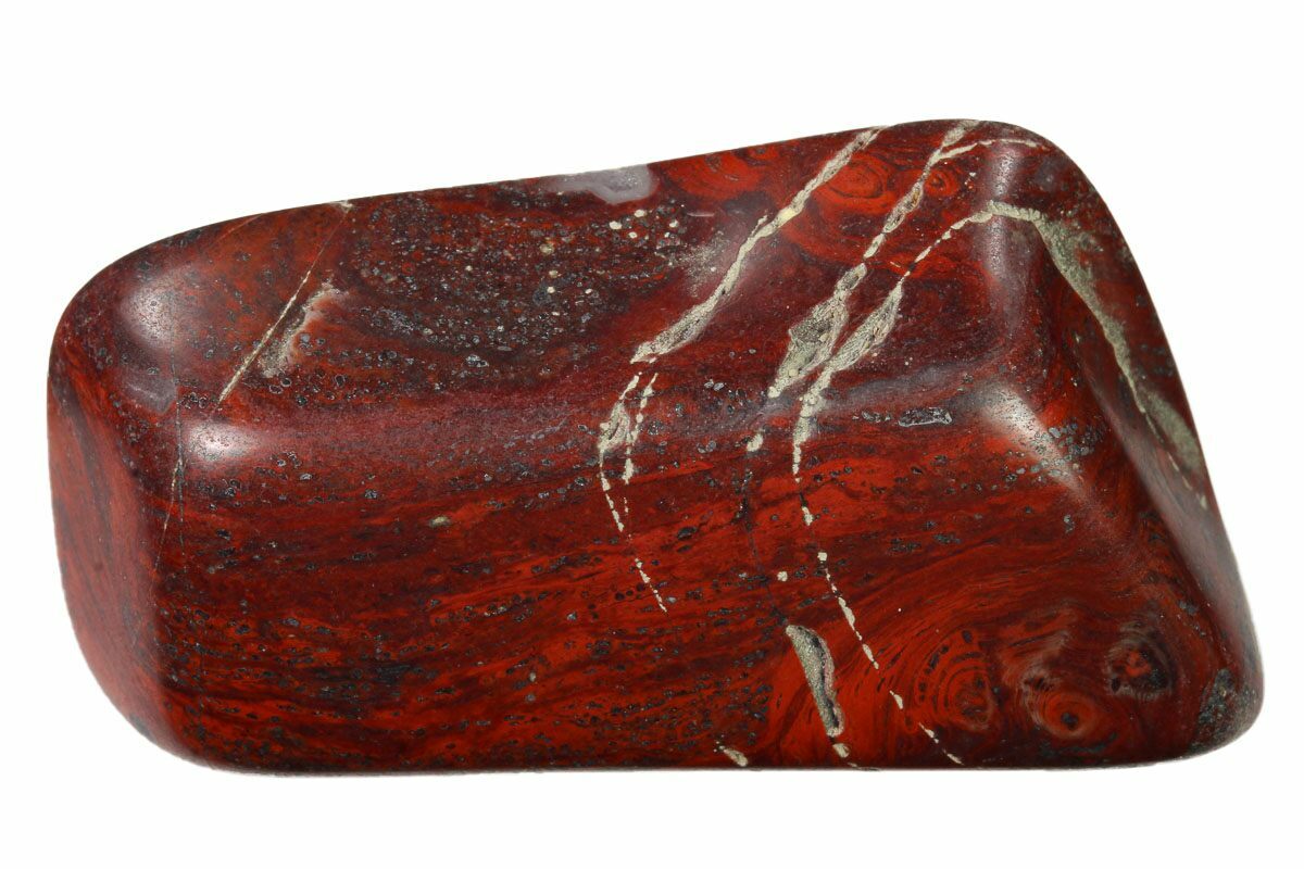 1.95" Polished Stromatolite (Collenia) - Minnesota (#155571) For Sale ...