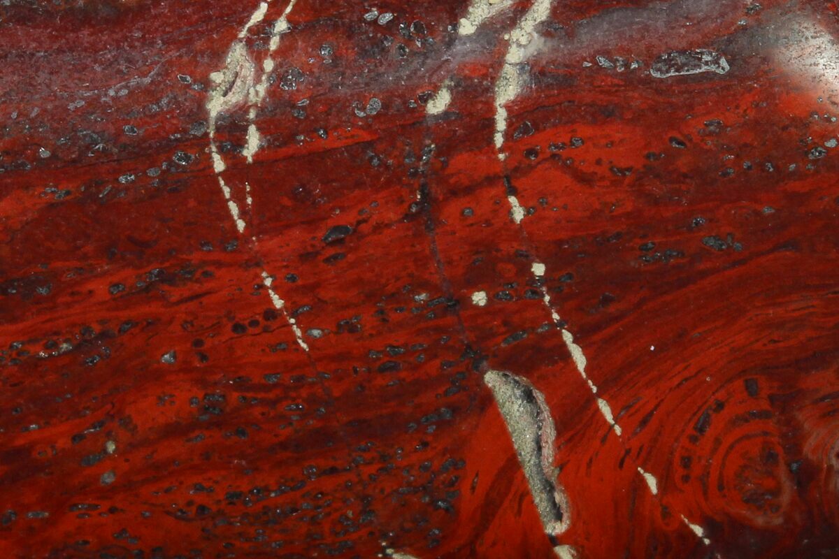 1.95" Polished Stromatolite (Collenia) - Minnesota (#155571) For Sale ...