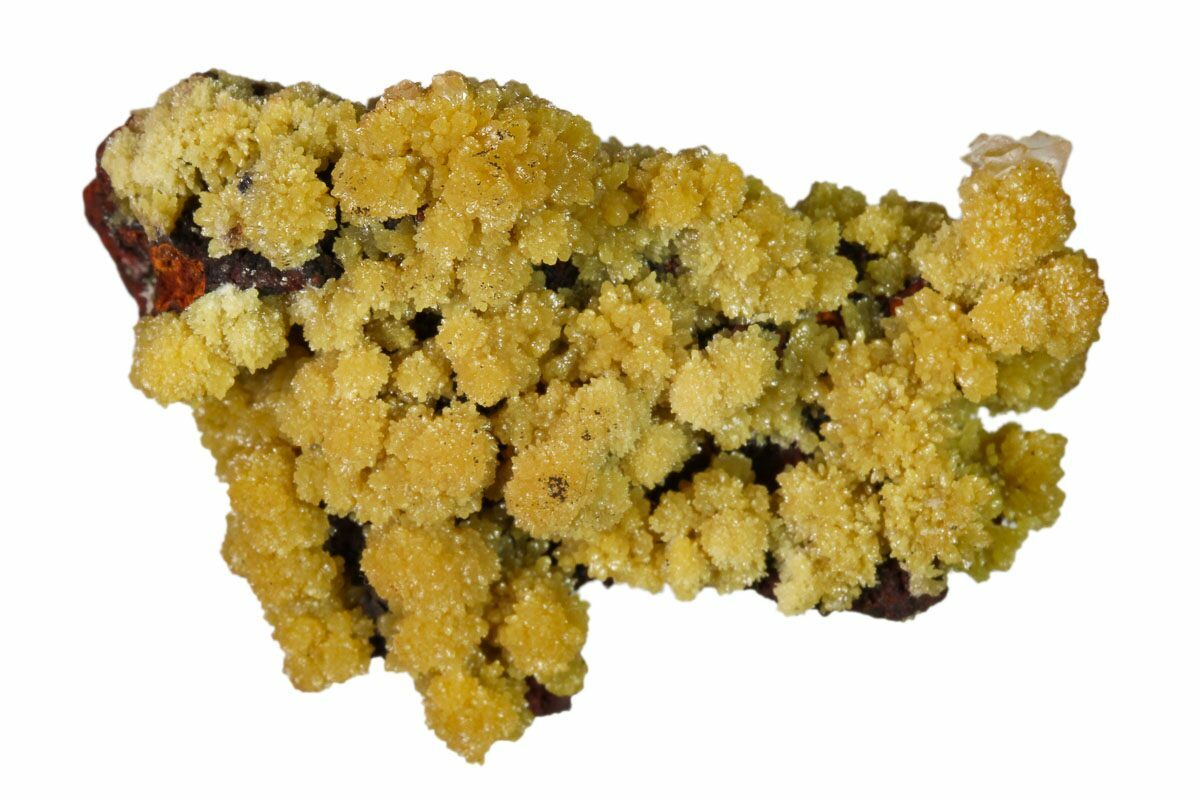1.6" Mimetite and Calcite Crystals on Limonitic Matrix - Mexico ...