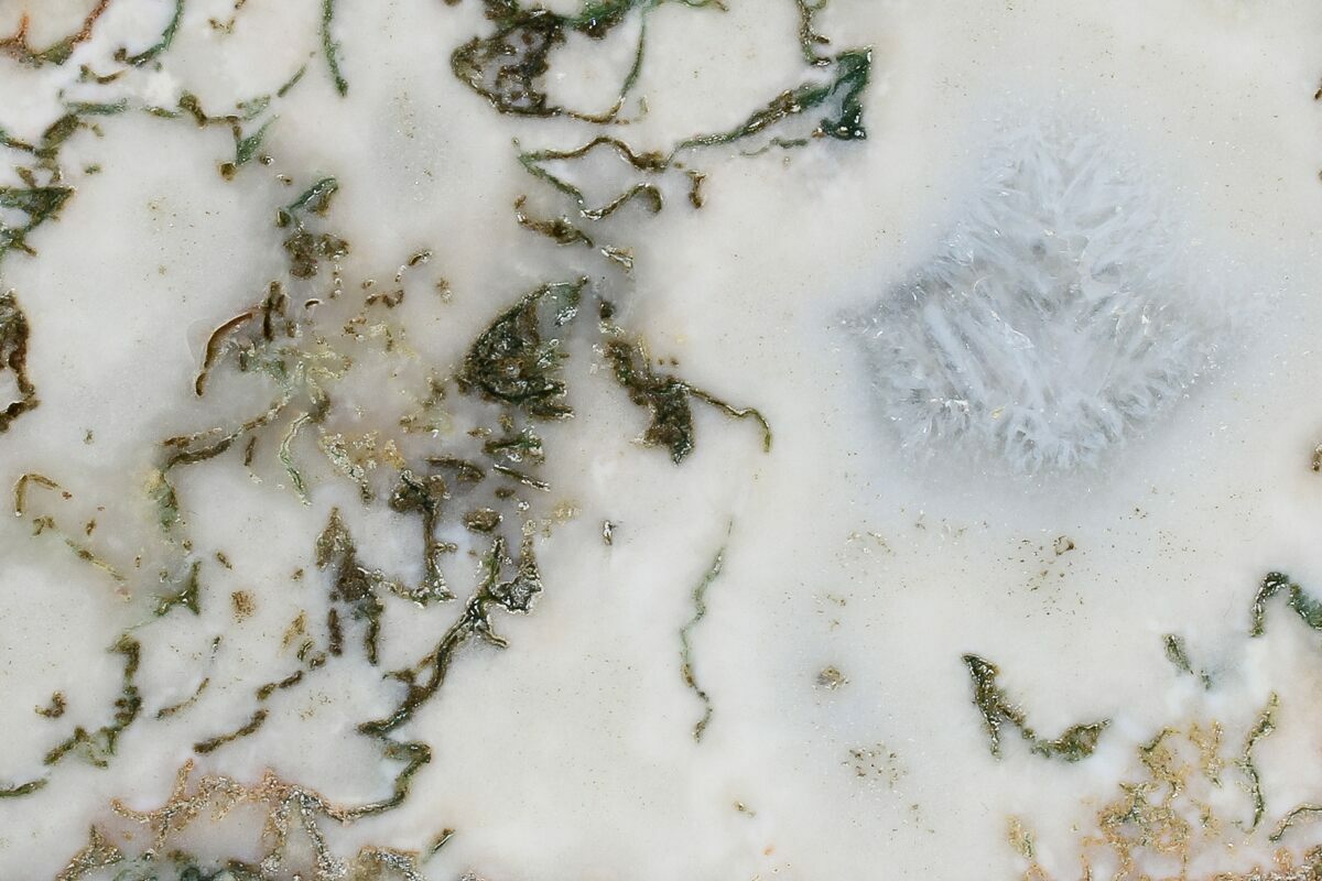 5.3" Polished Tree Agate Slab - India (#167477) For Sale - FossilEra.com