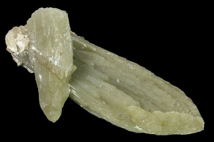 4.6" Sage-Green Quartz Crystals with Dual Core - Mongolia (#169913) For ...