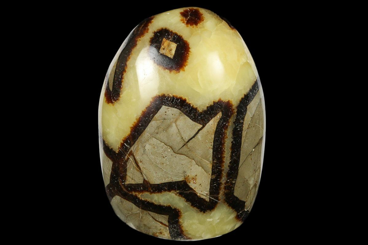 3" Free-Standing, Polished Septarian - Madagascar (#174584) For Sale ...