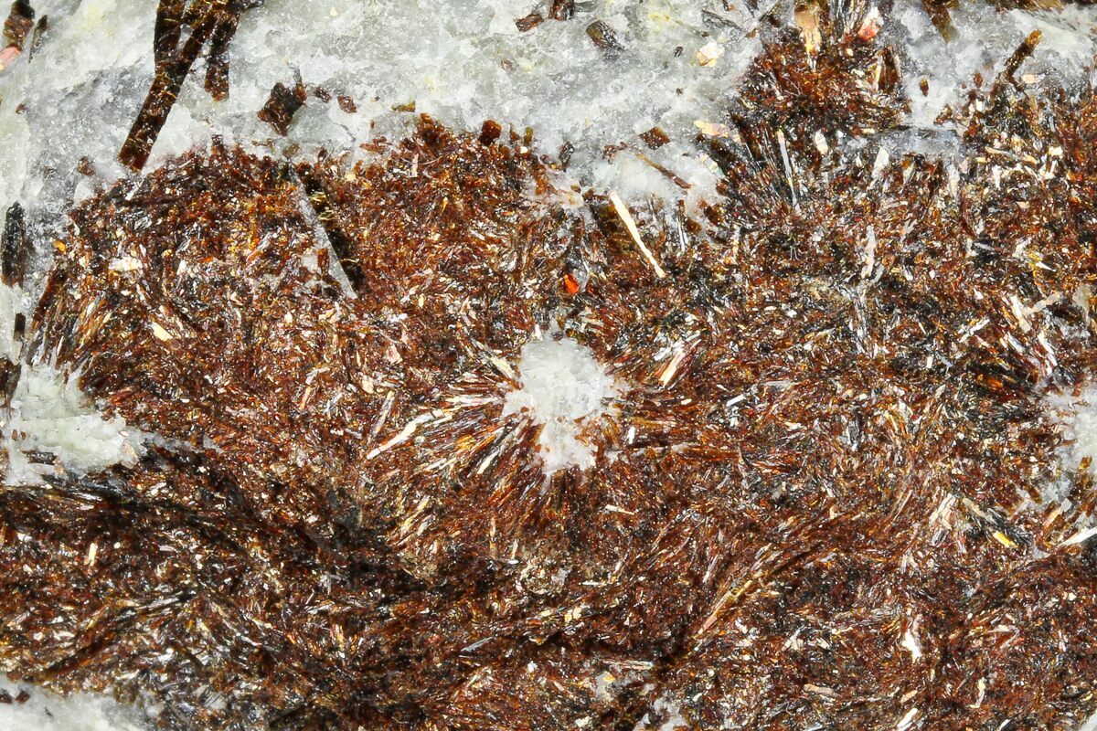 2.55" Golden-Brown, Radiating Astrophyllite - Kola Peninsula, Russia ...