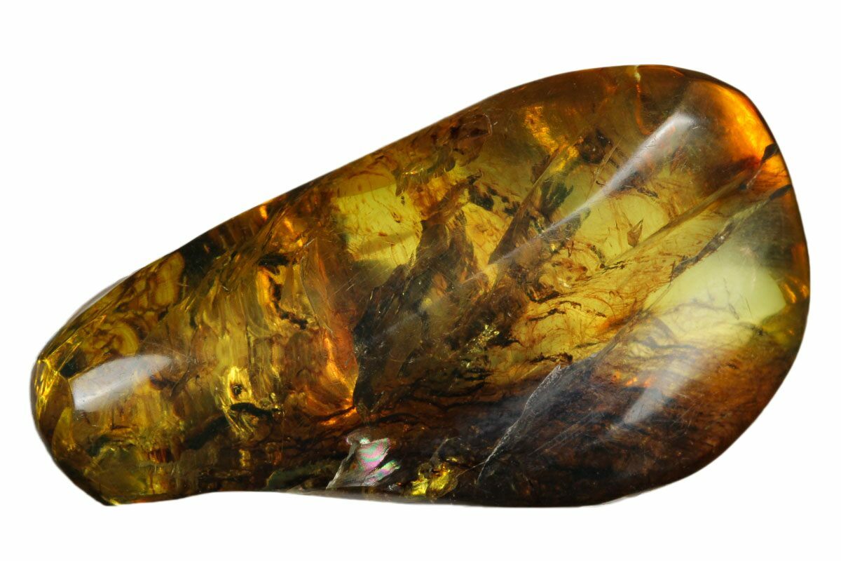 1.75" Polished Chiapas Amber (11 g) - Mexico (#180490) For Sale ...