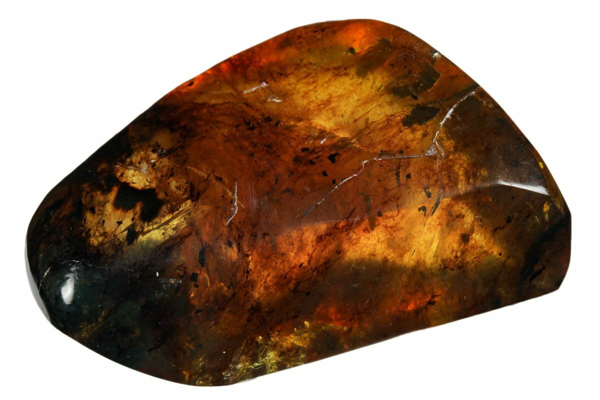 1.7" Polished Chiapas Amber (12 g) - Mexico (#180498) For Sale ...