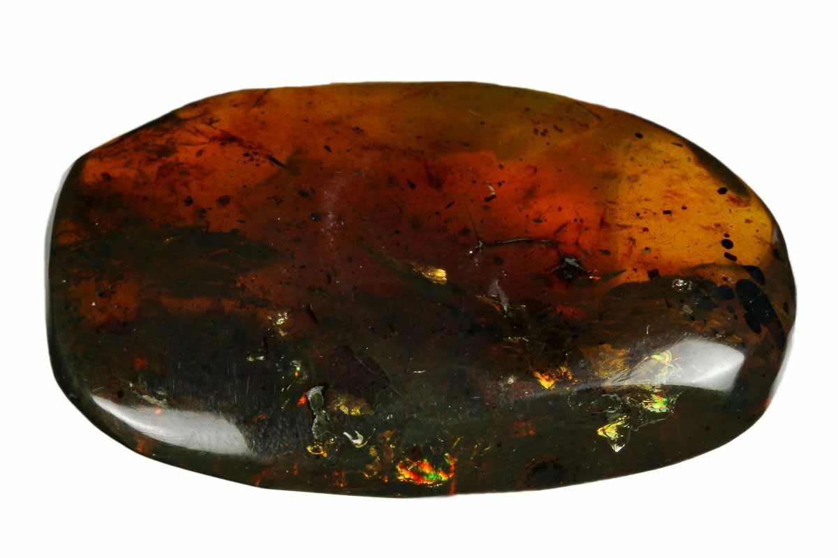 1.8" Polished Chiapas Amber (13 g) - Mexico (#180512) For Sale ...
