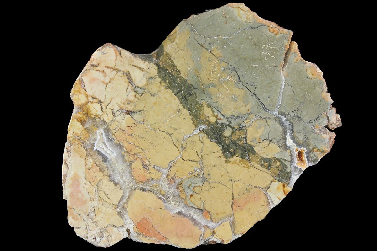6.2" Polished Ibis Jasper Slab - Madagascar (#180758) For Sale ...