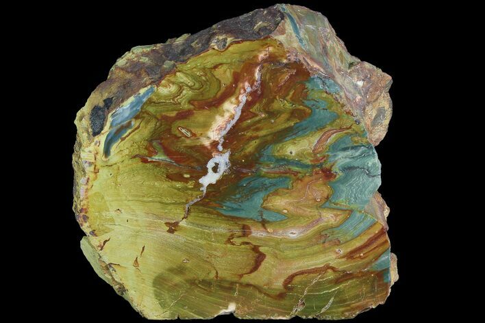 4.05" Polished, Gary Green (Larsonite) Petrified Wood - Oregon (#181923 ...