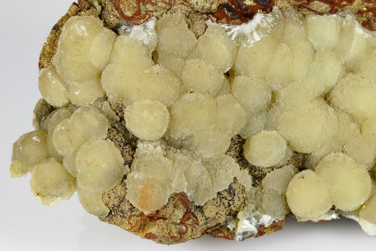 3.3" Botryoidal Austinite Formation - Ojuela Mine, Mexico (#183779) For ...