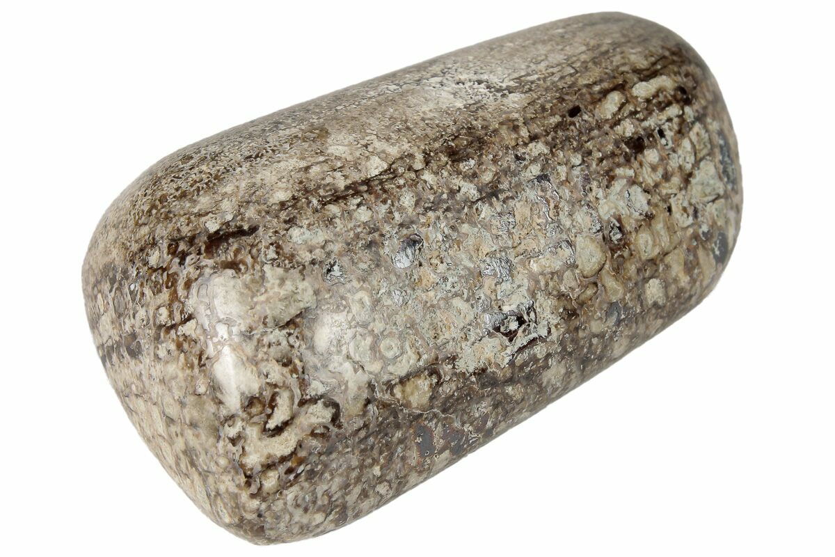 1.5" Polished Dinosaur Bone (Gembone) - Morocco (#190022) For Sale ...