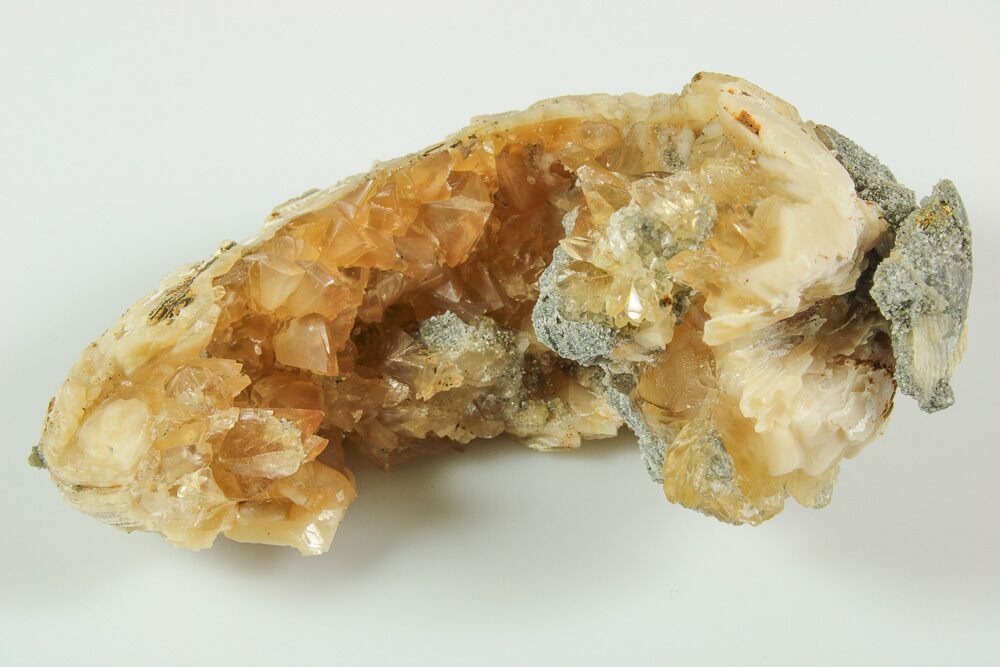 4.1" Fossil Clam with Fluorescent Calcite Crystals - Ruck's Pit ...